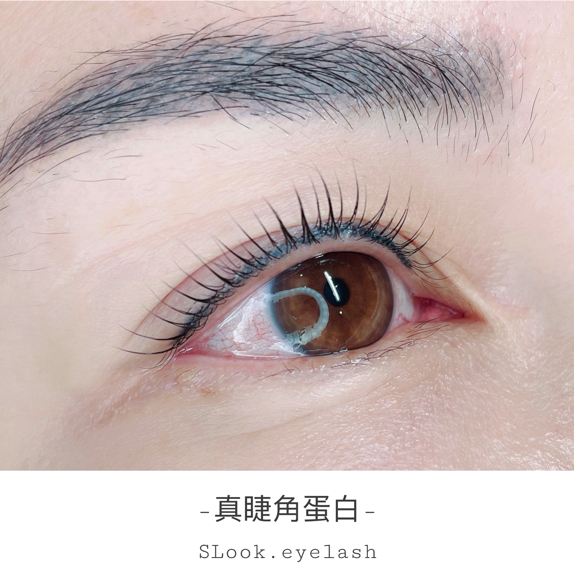 角蛋白睫毛管理 - SLook.eyelash半永久紋繡/紋髮際線/角蛋白美睫設計/皮膚管理